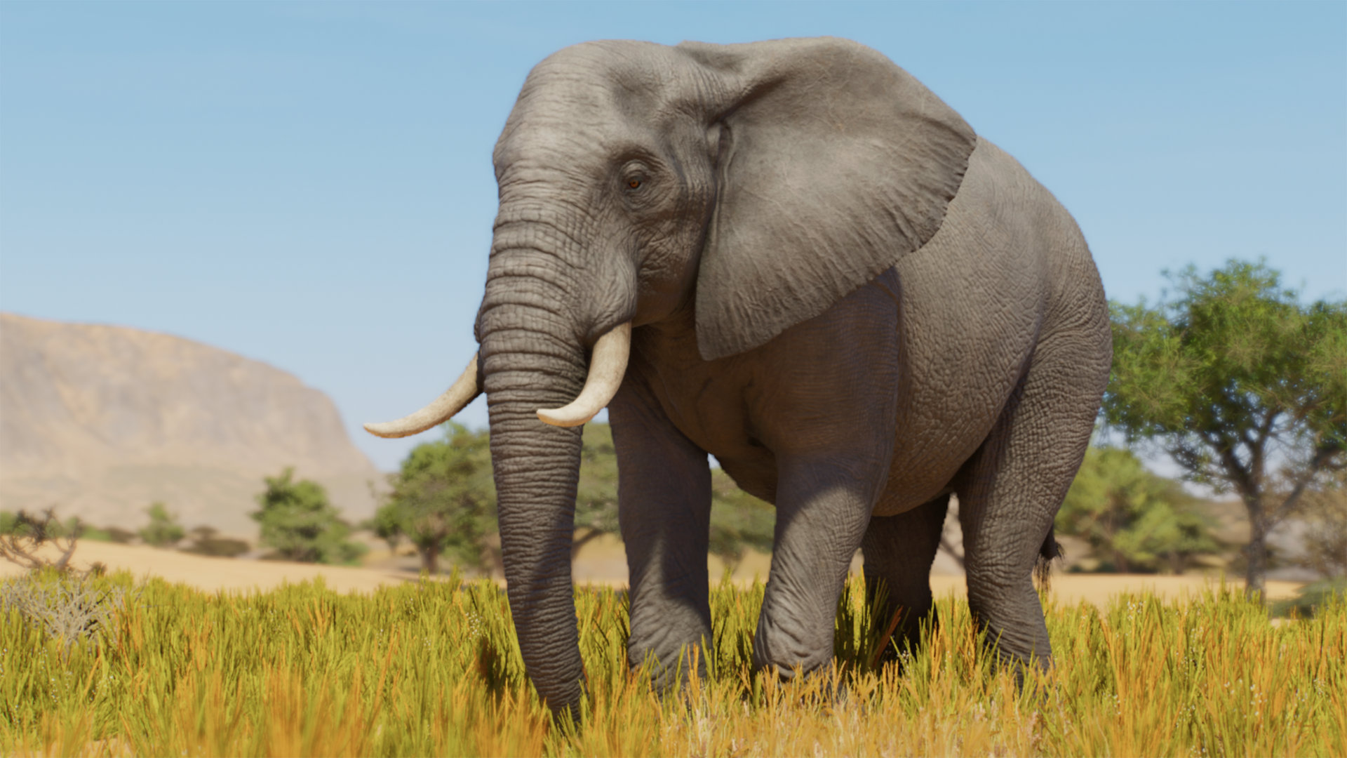 African Savannah Elephant - Zoopedia - Planet Zoo 2